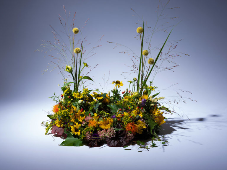 Reerdigung und Vorsorge 2025 - JANUAR Bestattungen & Vorsorge