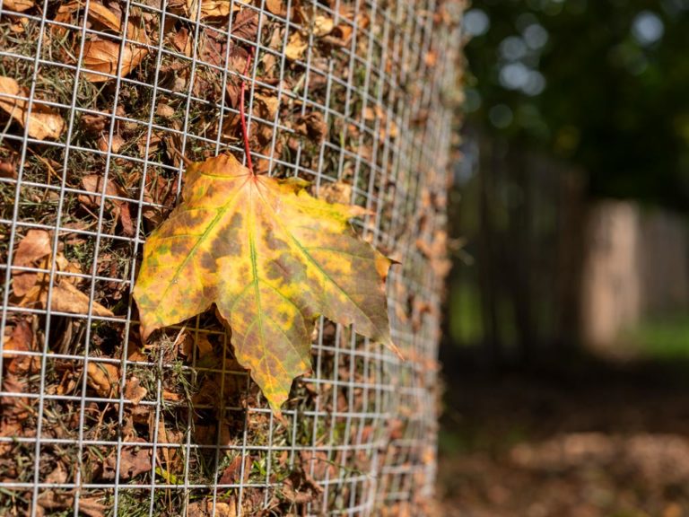 Reerdigung und Vorsorge 2025 - JANUAR Bestattungen & Vorsorge